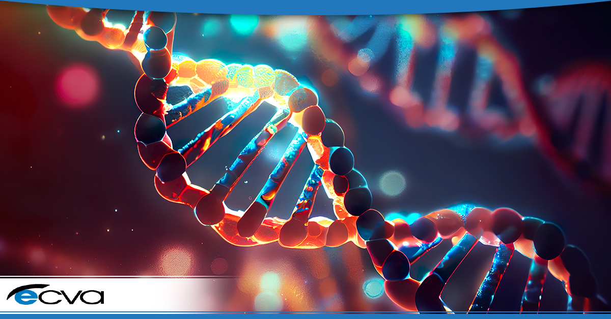 The Role of Genetics in Eye Health: Understanding Inherited Eye Conditions