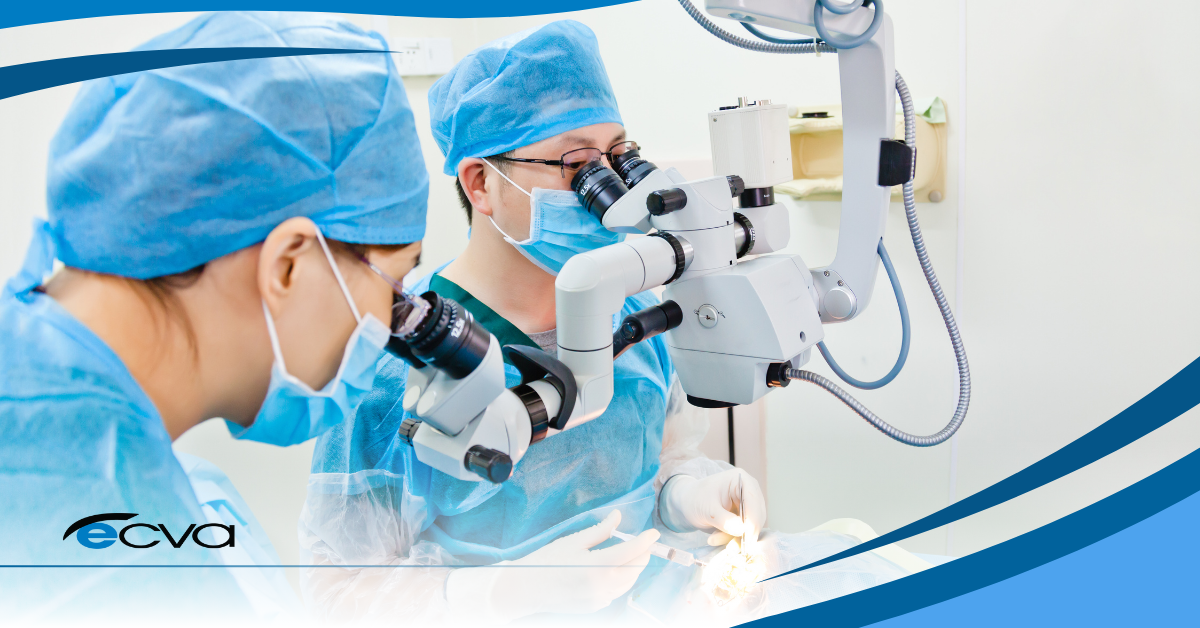 Cataracts 101: Understanding Symptoms, Treatment, and Surgery in ...